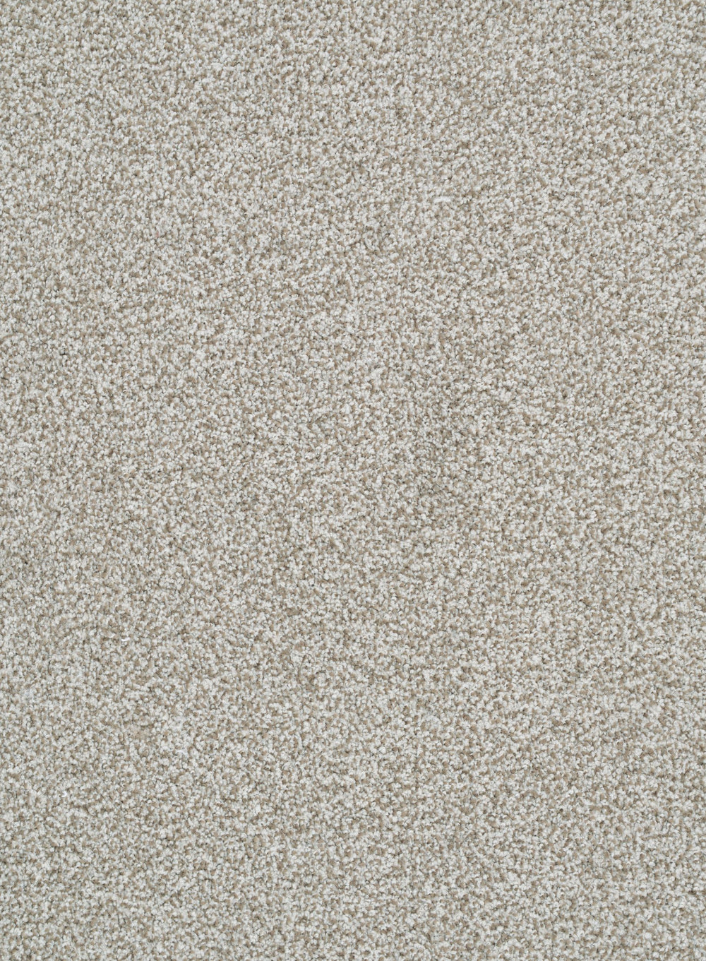 STARK Susanna Machine Tufted Carpet