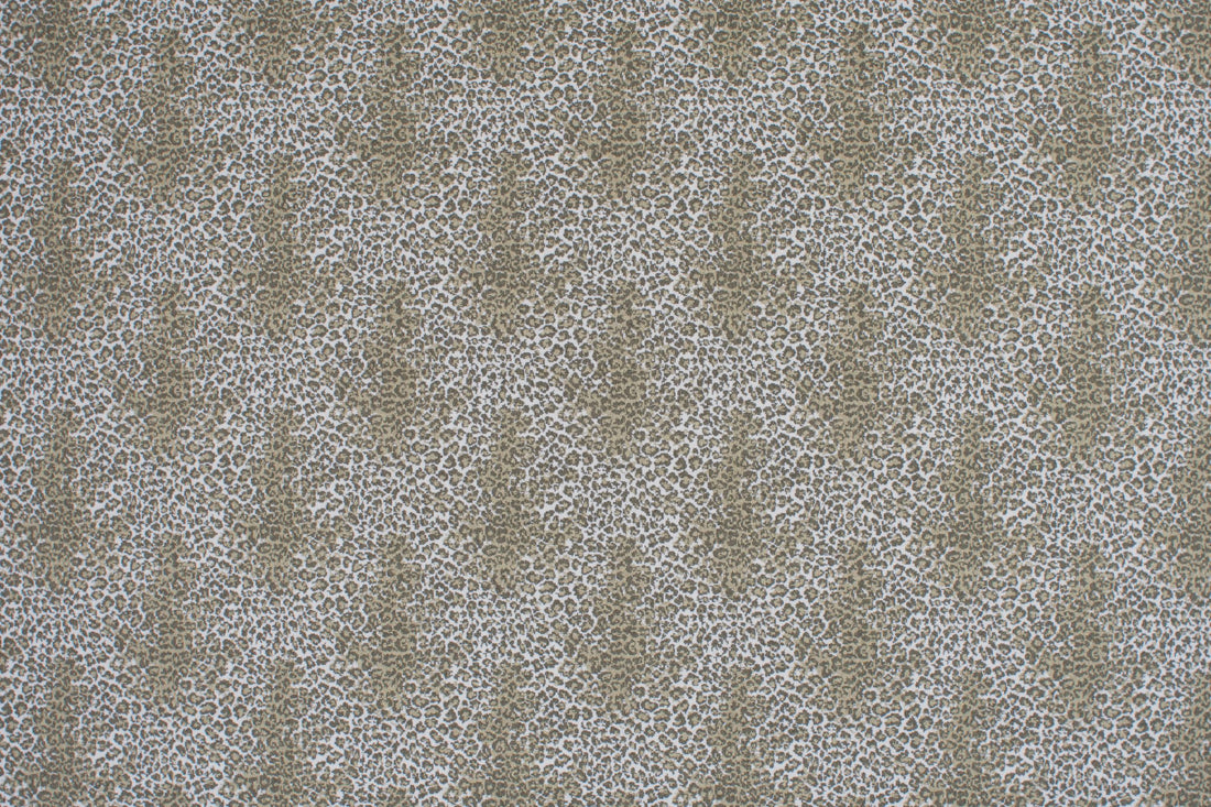 Leopard Print Rugs & Carpet